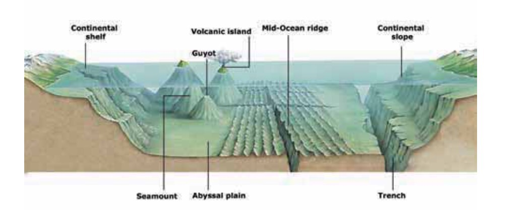 Relief features of Ocean - civilspedia.com