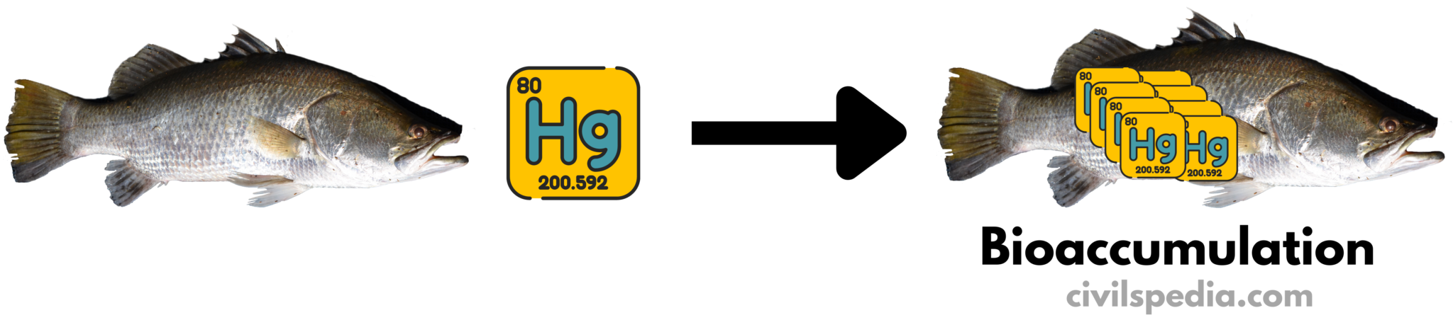 Mercury Poisoning - civilspedia.com