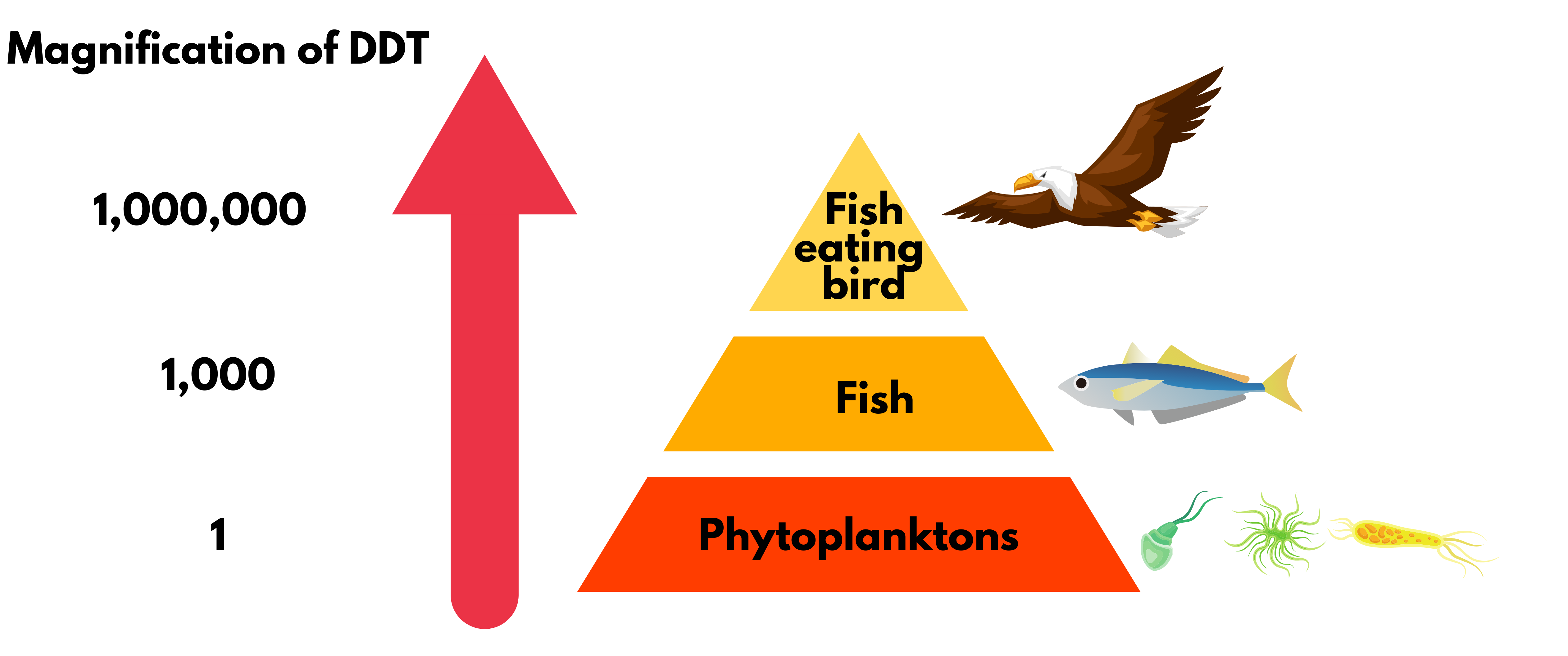 Persistent Organic Pollutants Civilspedia Persistent Organic Pollutants Civilspedia