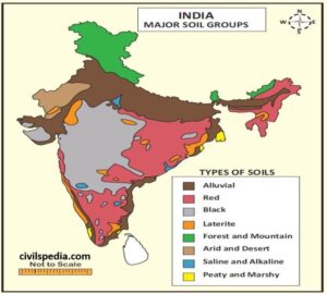 Soils of India - civilspedia.com