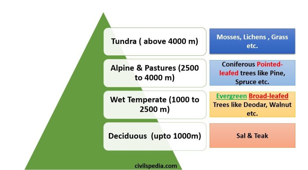 Types of Vegetations in India - civilspedia.com