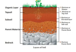 Soil Formation, Profile & Characteristics - civilspedia.com