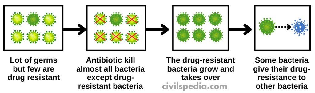 Anti-Microbial Resistance - civilspedia.com